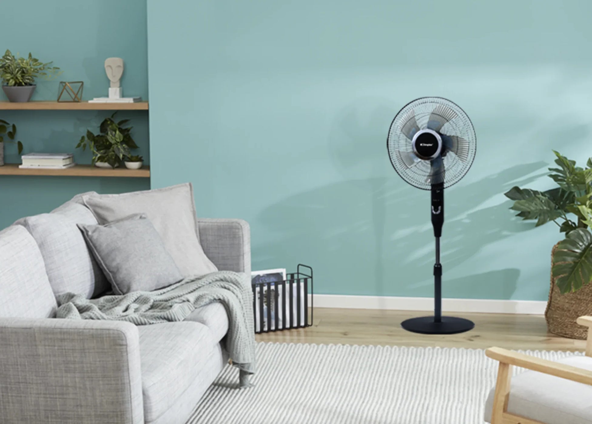 Dimplex 40cm DC Digital Pedestal Fan — LX2001 - Homewares, Outdoor ...