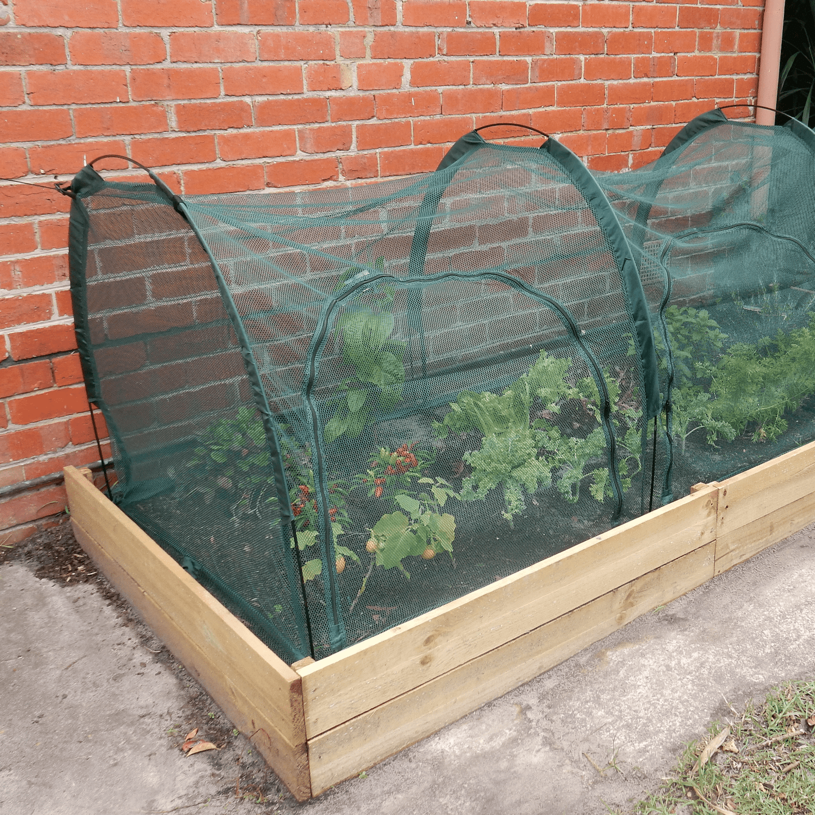 Maze Net Tunnel (2X1X1M) — LX2001 - Homewares, Outdoor, Phone ...