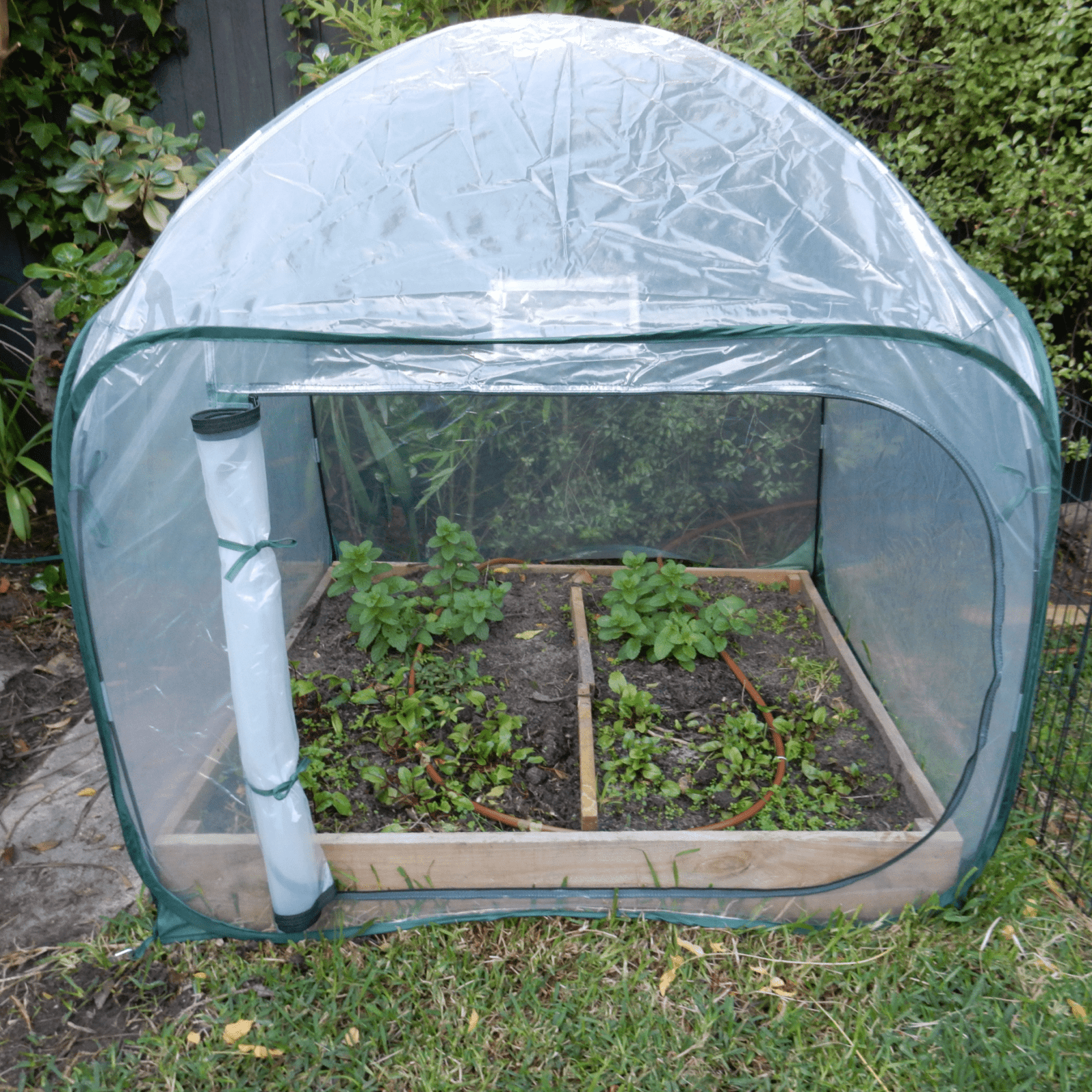 Maze Poly Cover (1.25X1.25X1.20M) ESPC1251 — LX2001 - Homewares ...