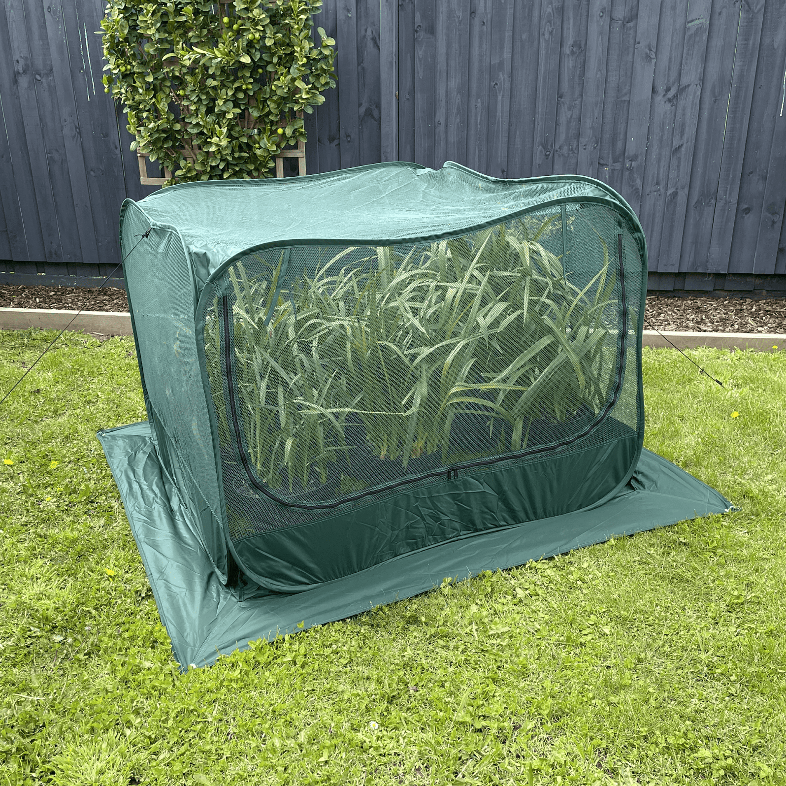 Maze Net Cover (1.25X1.25X0.92M) ESNC1251 — LX2001 - Homewares, Outdoor ...